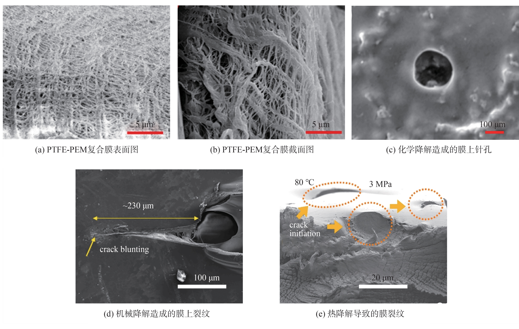 Overview of Research Progress on Hydrogen Permeation in Proton Exchange ...