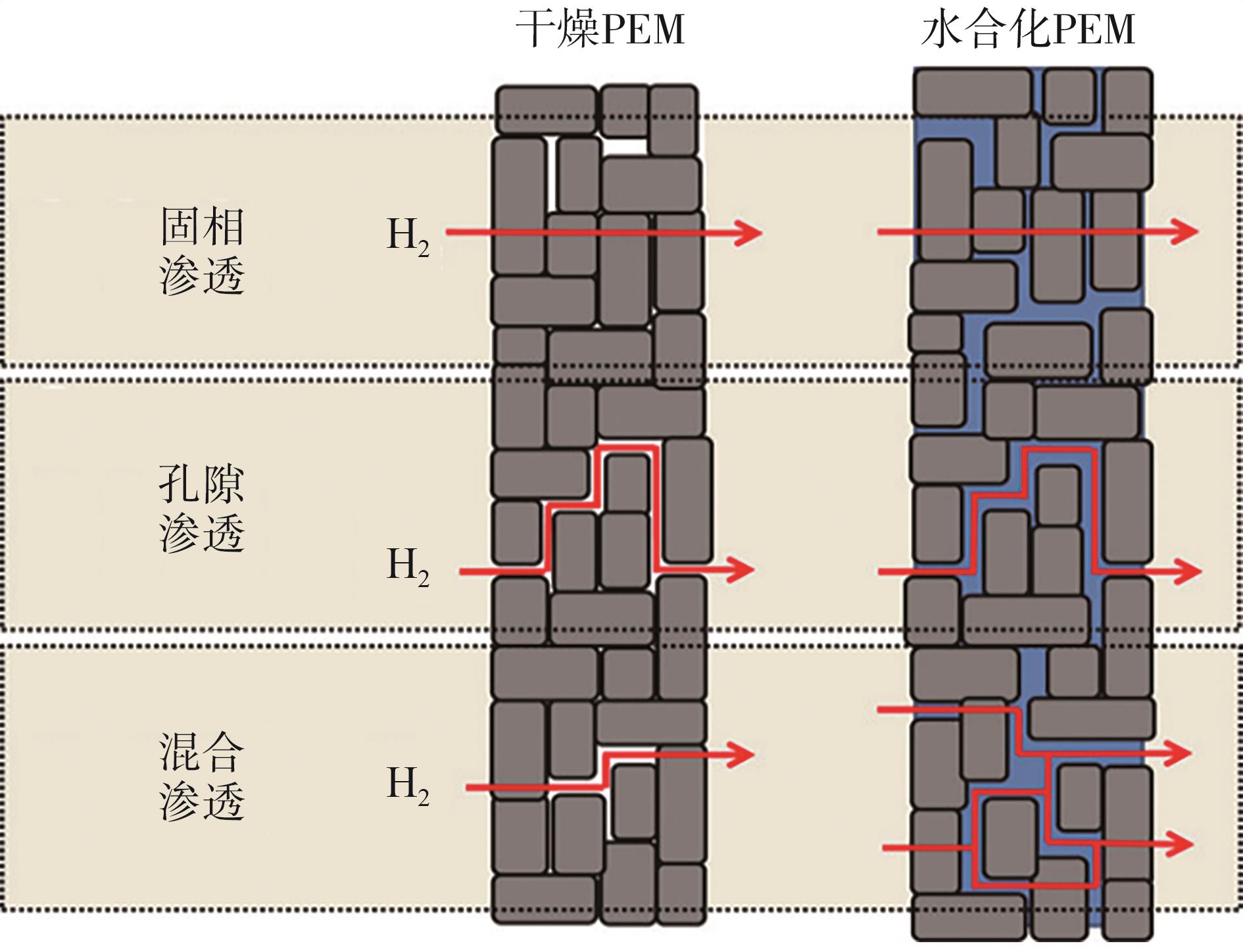 Overview of Research Progress on Hydrogen Permeation in Proton Exchange ...